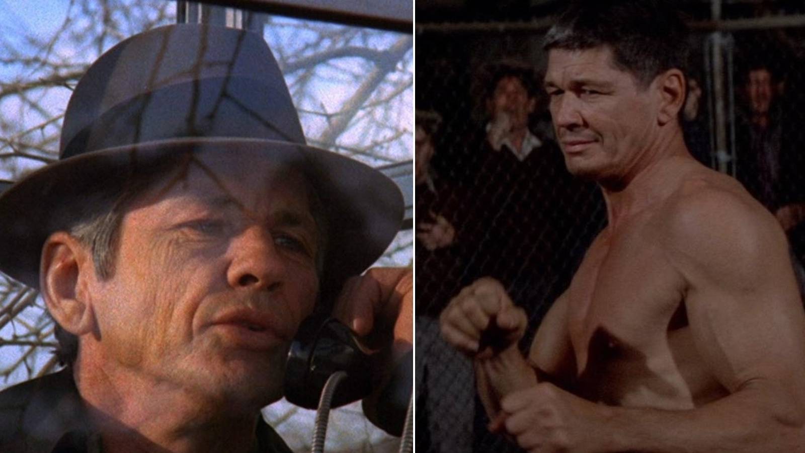 Charles Bronson: 10 Most Iconic Roles In Film History, Ranked