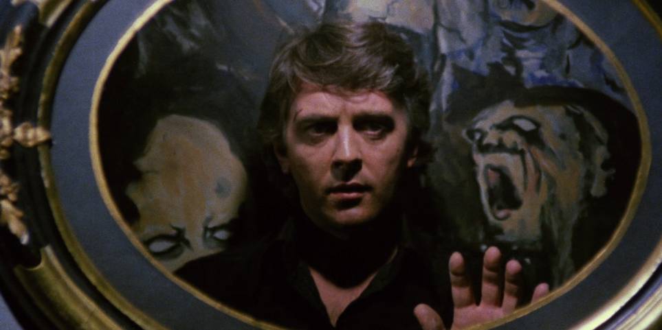 10 Must-See Giallo-Style Horror Films | ScreenRant | Reef Recovery