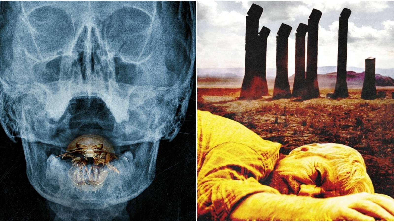 10 Terrifying Eco-Horror Movies