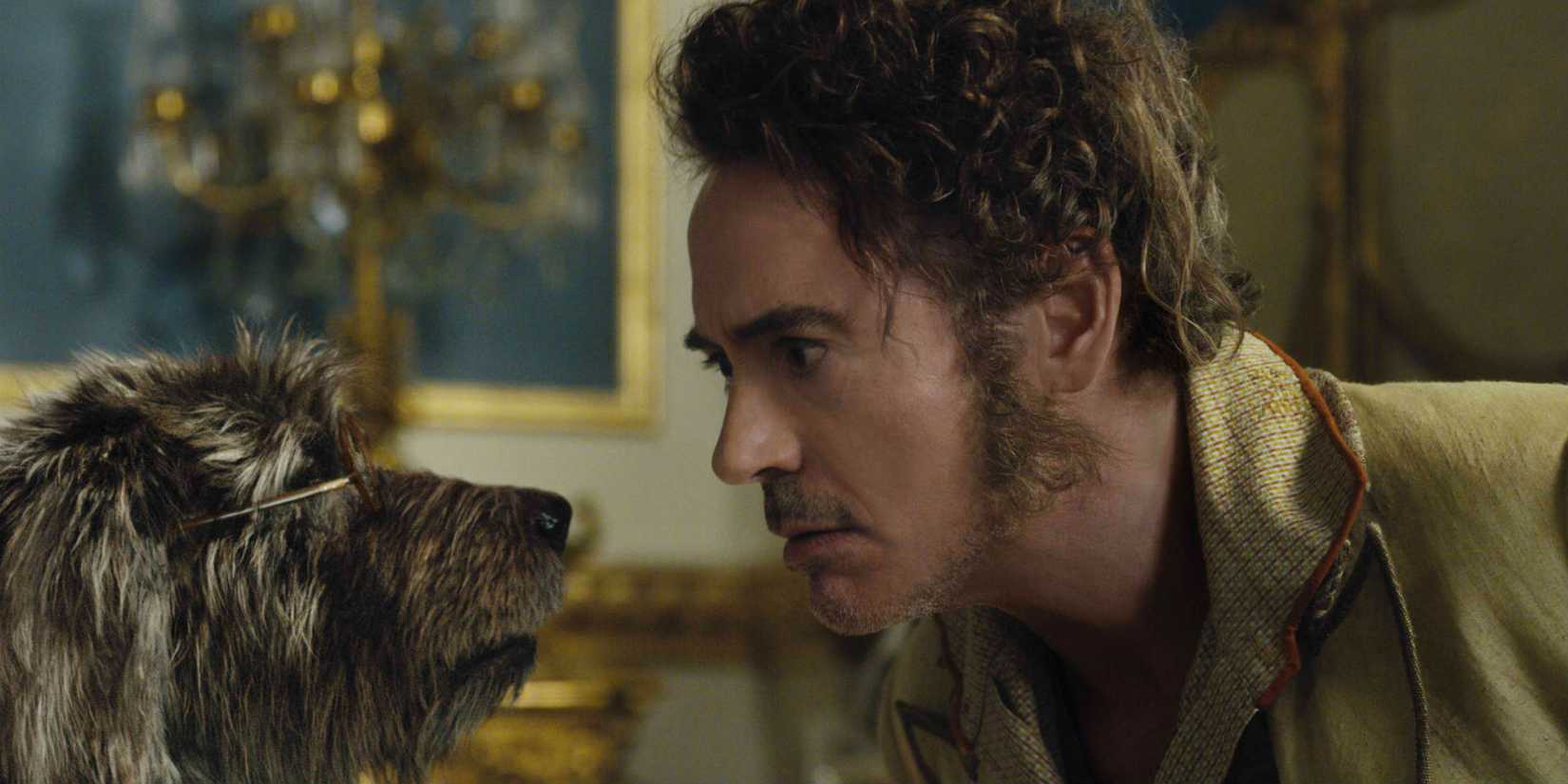 Robert Downey Jr.'s 2 Post-Endgame Movies Show The Best & Worst Of His ...