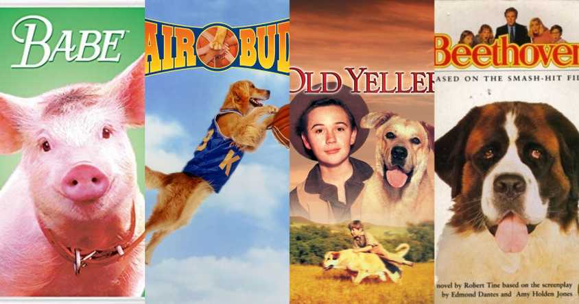 The 20 Best Movies Featuring Rats & Other Rodents