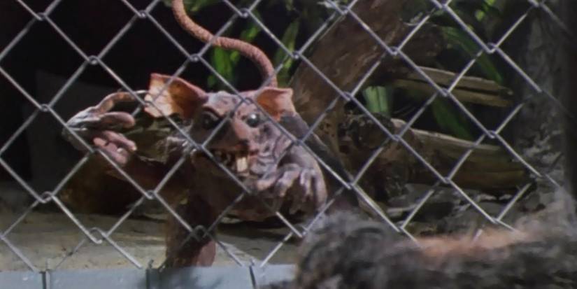 The 10 Best Horror Movies Of The '90s, According To Letterboxd