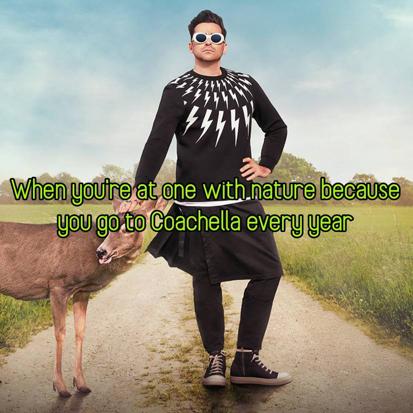 Schitt's Creek: 10 David Rose Memes That Are Too Hilarious For Words