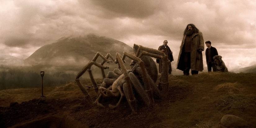 Ranked: Every Major Death In Harry Potter