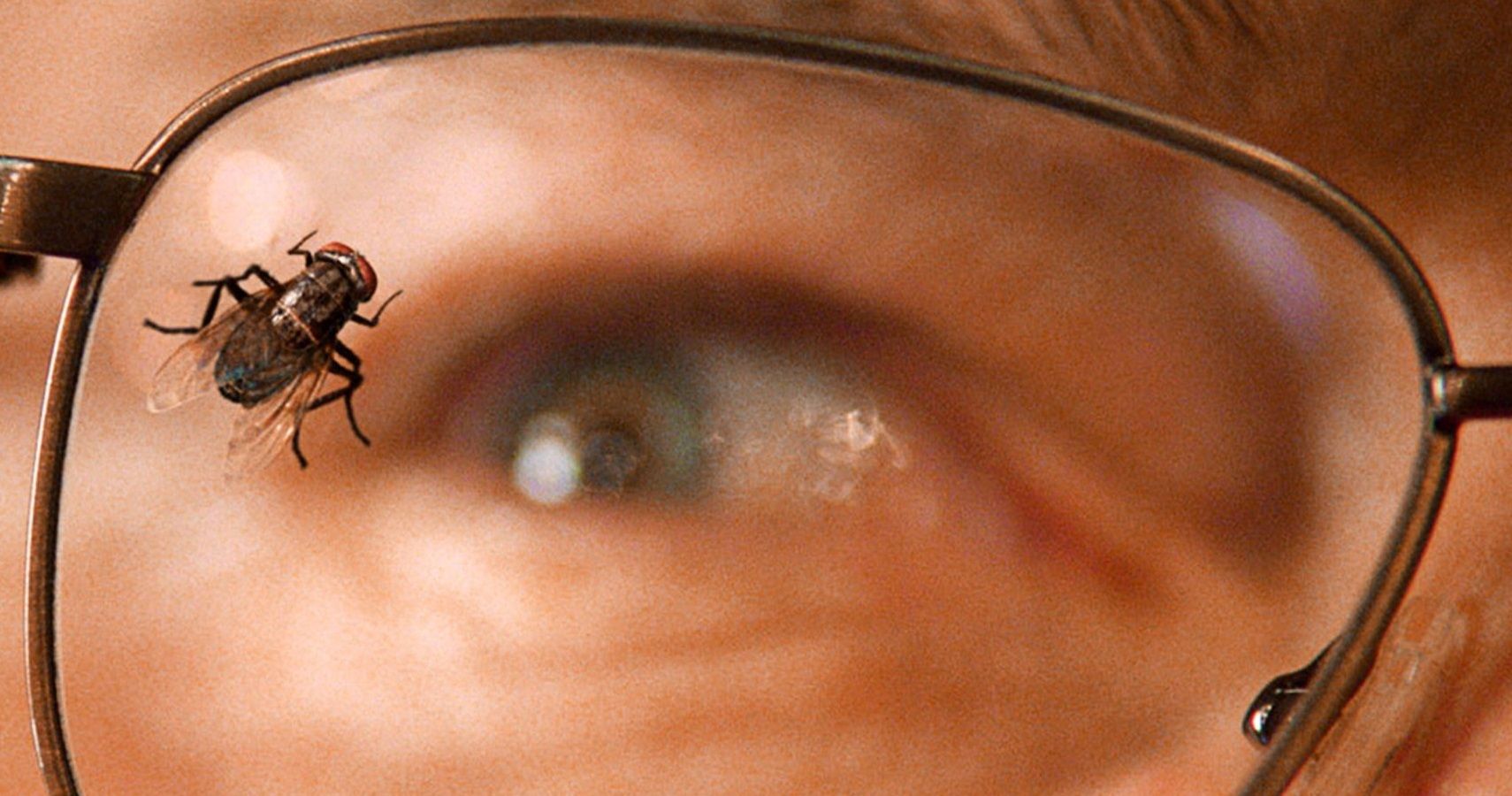 Breaking Bad's Fly Explained: What The Divisive Episode Means