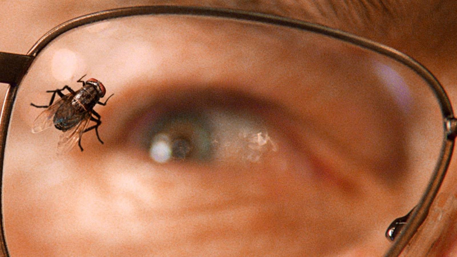 Breaking Bad's Worst-Rated Episode Is "Fly": Why It's Actually Great