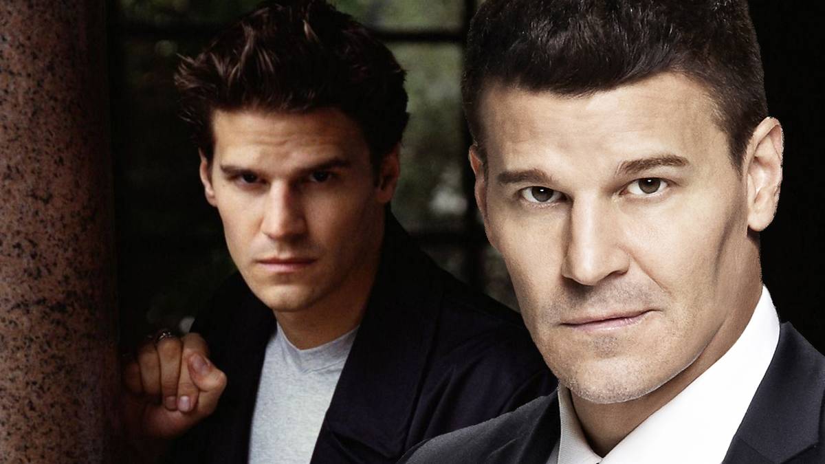 What David Boreanaz Has Done Since Buffy The Vampire Slayer Ended