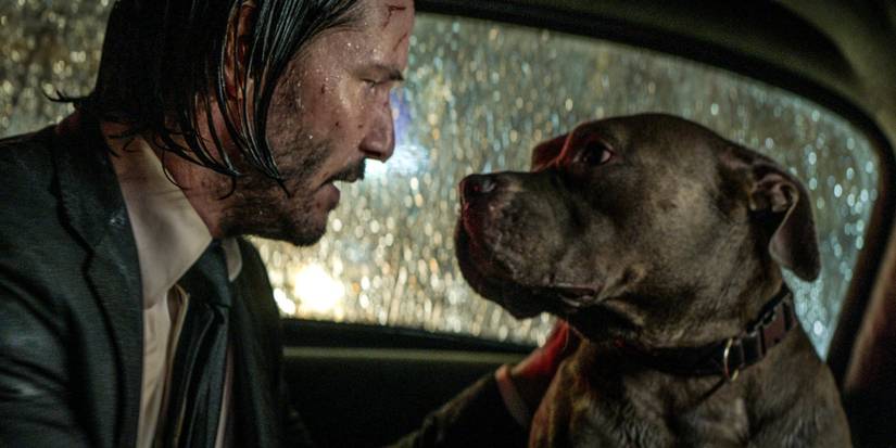 How John Wick 4's Dog Scene Brings The Franchise Full Circle
