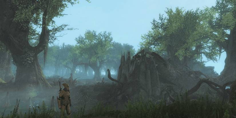 Morrowind's Spell System Beats Skyrim's (& Other Elder Scrolls Games)