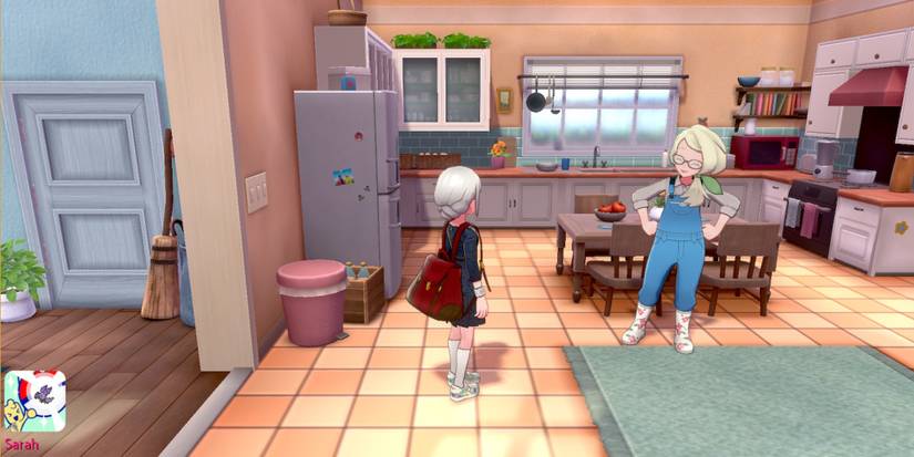 Pokemon Sword & Shield: Apriballs Where to Find Them (& What They Do)