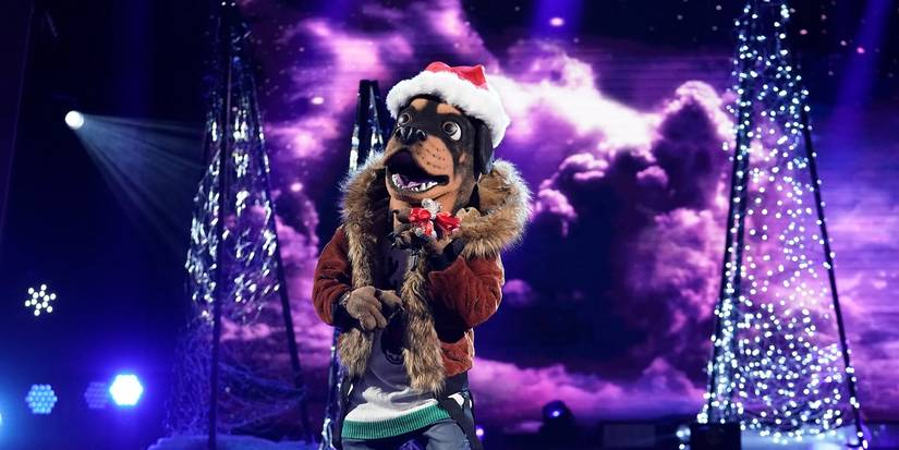 The Masked Singer: All Of Rottweiler's Performances, Ranked