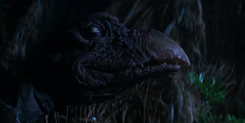 The Dark Crystal: 10 Things You Didn’t Know About The Skeksis