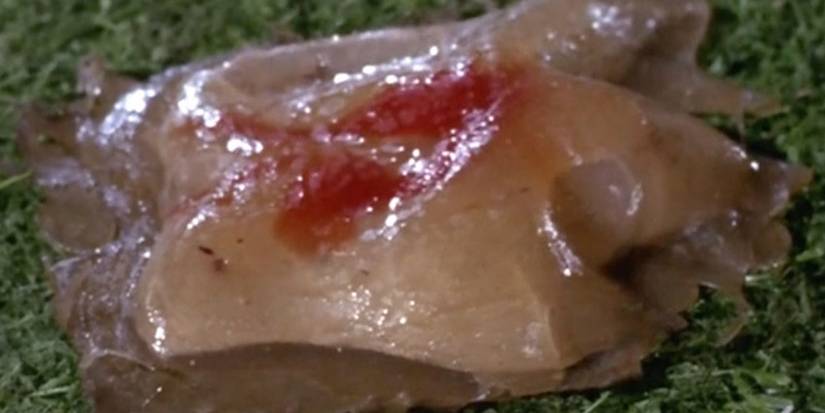 Star Trek: 10 Hilariously Weird Alien Races, Ranked