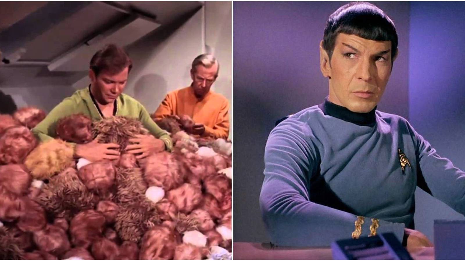 Star Trek: 10 Hilariously Weird Alien Races, Ranked