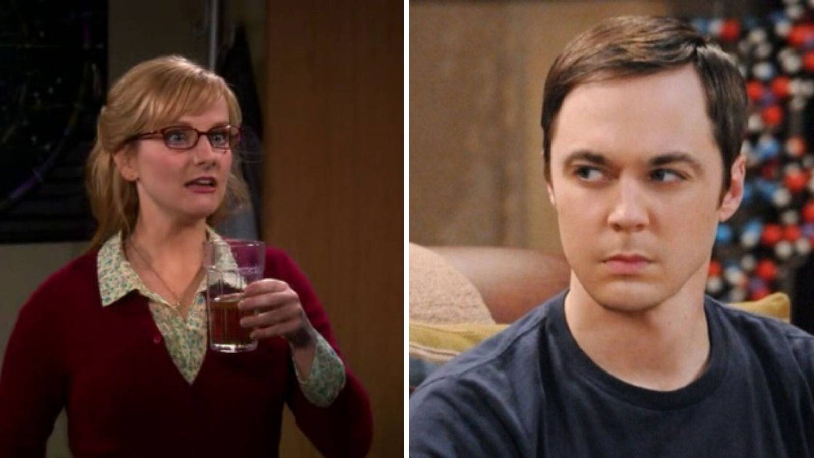 The Big Bang Theory: 10 Reasons Why Sheldon & Bernadette Aren't Real ...