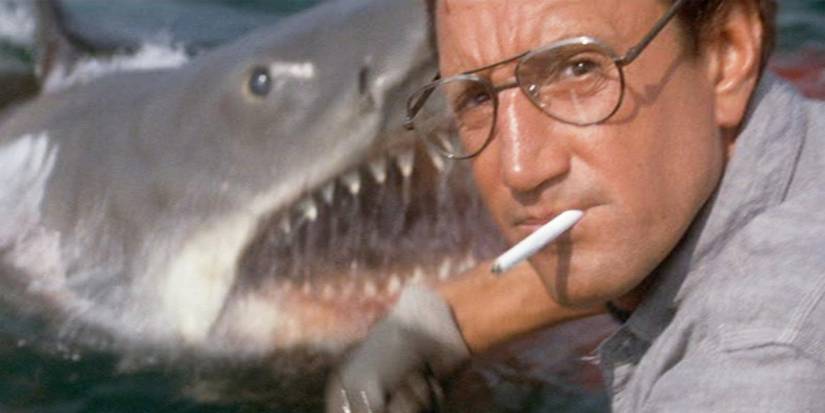 Where Was Jaws Filmed? All Filming Locations Explained