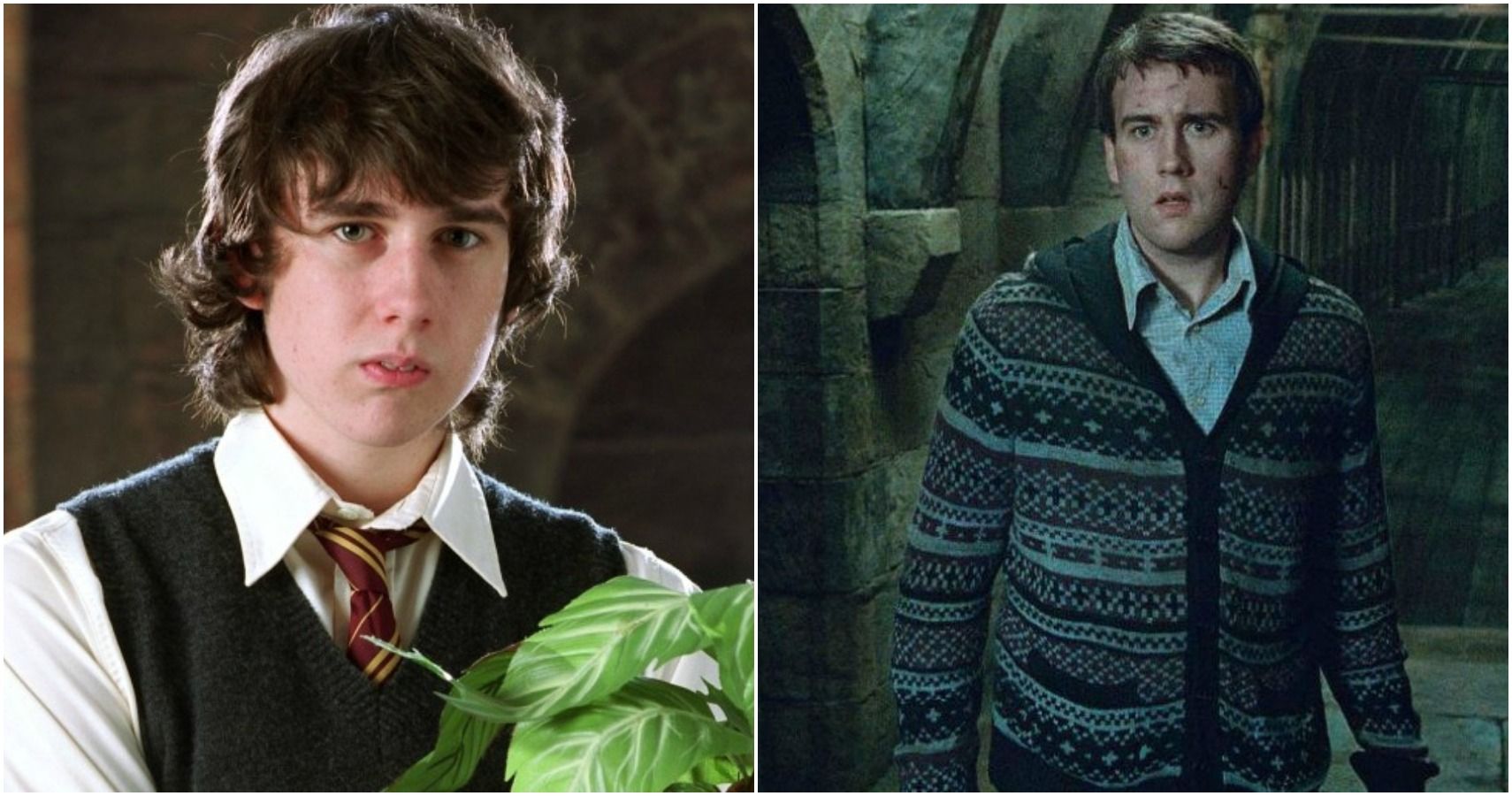 Harry Potter: 10 Biggest Ways Neville Changed From Philosopher's Stone ...