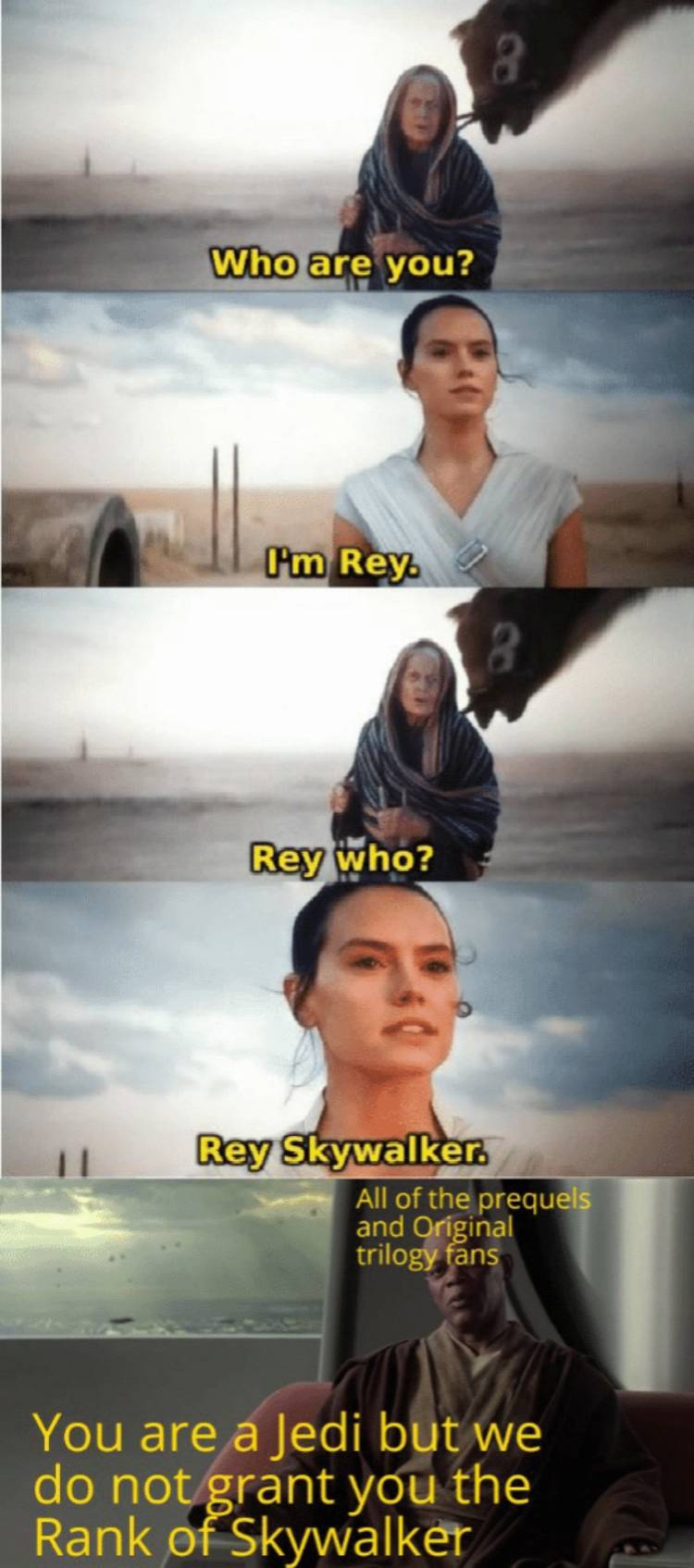 Star Wars: 10 Rey Skywalker Memes That Are Just Too Funny