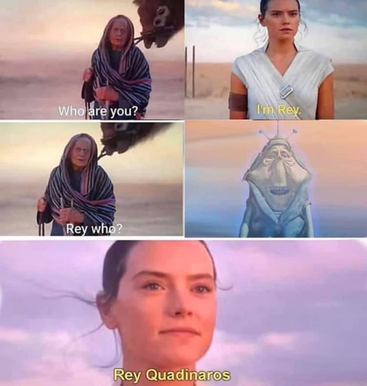 Star Wars: 10 Rey Skywalker Memes That Are Just Too Funny
