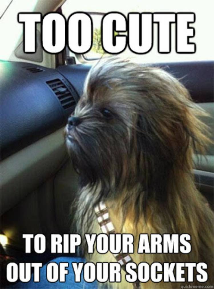Star Wars: 10 Chewbacca Memes That Are Just Too Funny