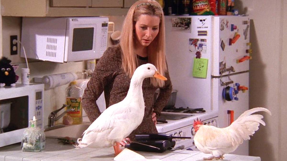 Friends: What Happened To The Chick & The Duck