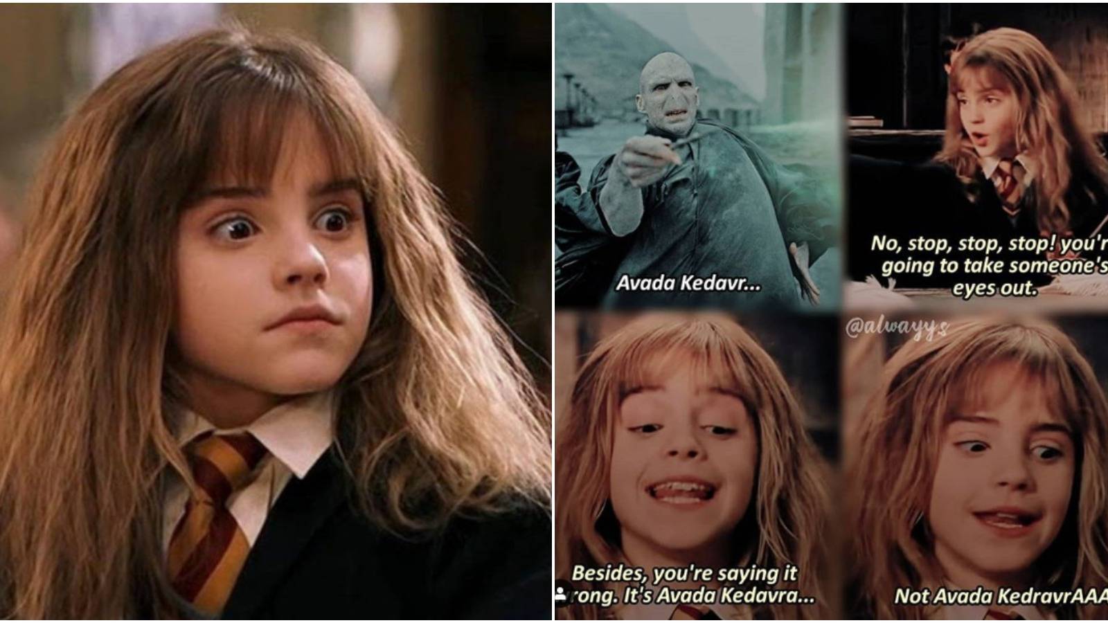 Harry Potter: 10 Memes That Hermione Granger Fans Will Love