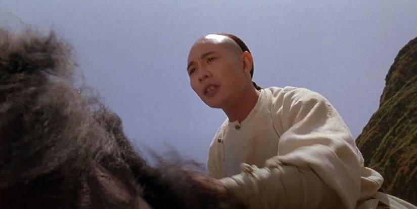15 Best Jet Li Movies Ranked