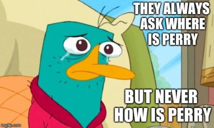 Disney: 10 Great Phineas And Ferb Memes That Are Too Funny