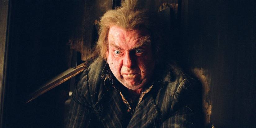 Harry Potter: 10 Annoying Characters, According to Reddit
