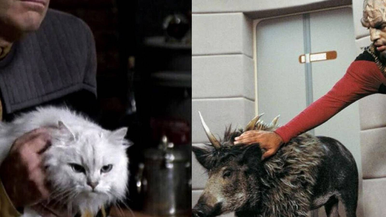 10 Best Pets In Star Trek, Ranked