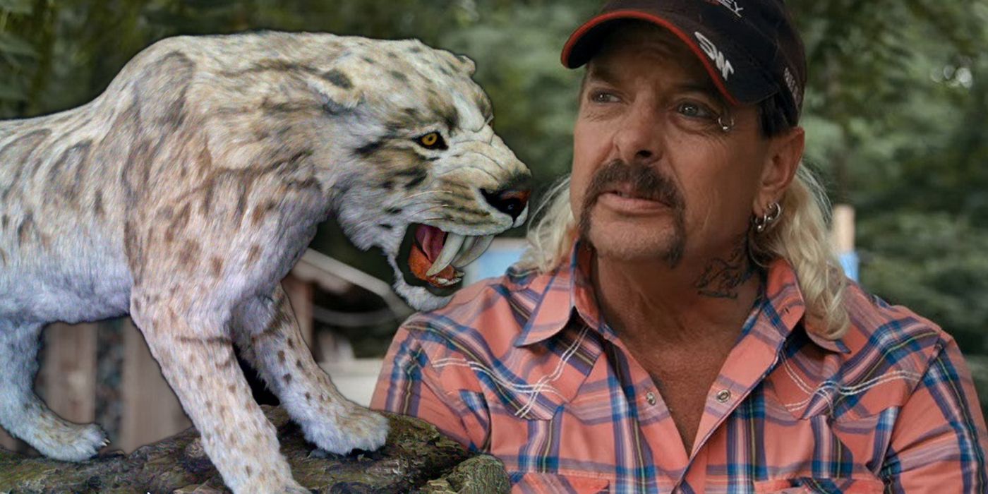 Tiger King: Joe Exotic Tried To Breed A Sabertooth (What Happened?)