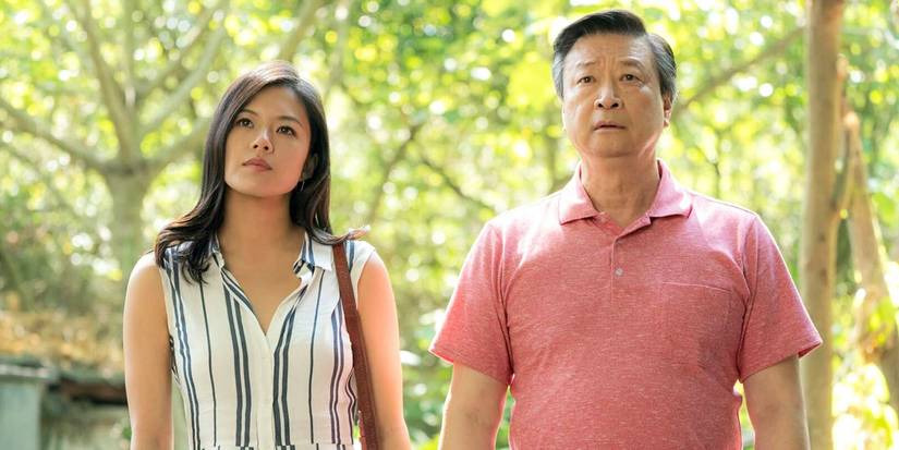 Tigertail (2020) Movie Review