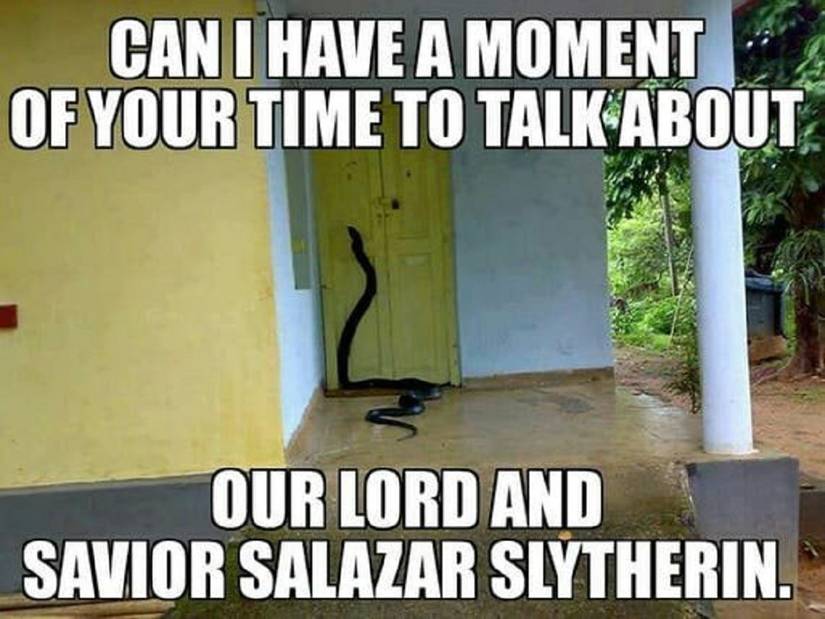 Harry Potter: 10 Hilarious Memes Only A True Slytherin Would Understand