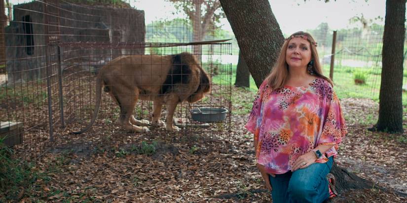 Tiger King Timeline: When Each Major Joe Exotic Event Happens