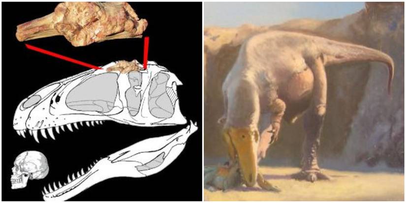 Lord Of The Rings: 10 Things You Didn't Know About Sauron