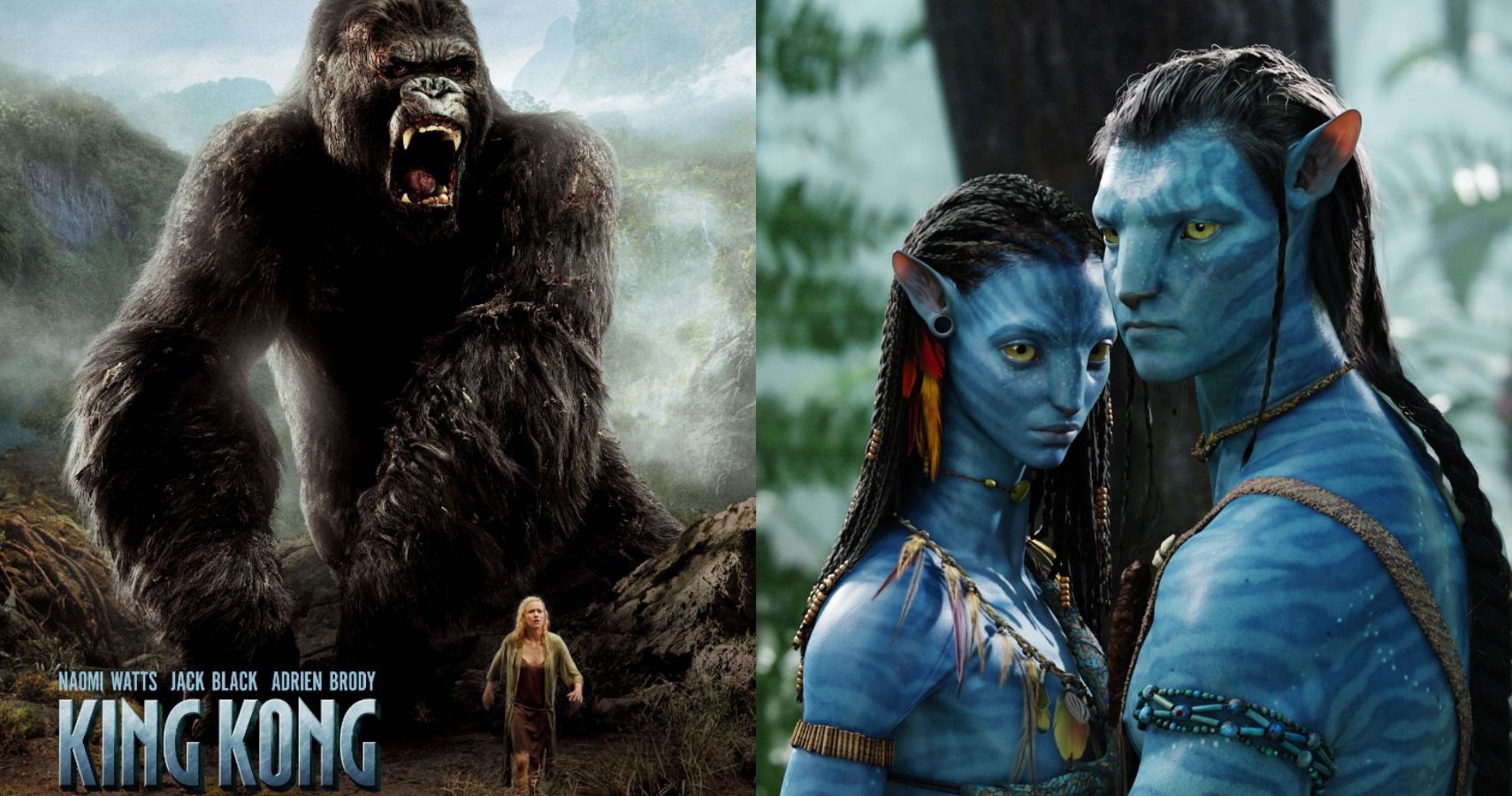 10 Best Movies Set In The Rainforest, Ranked According to IMDb