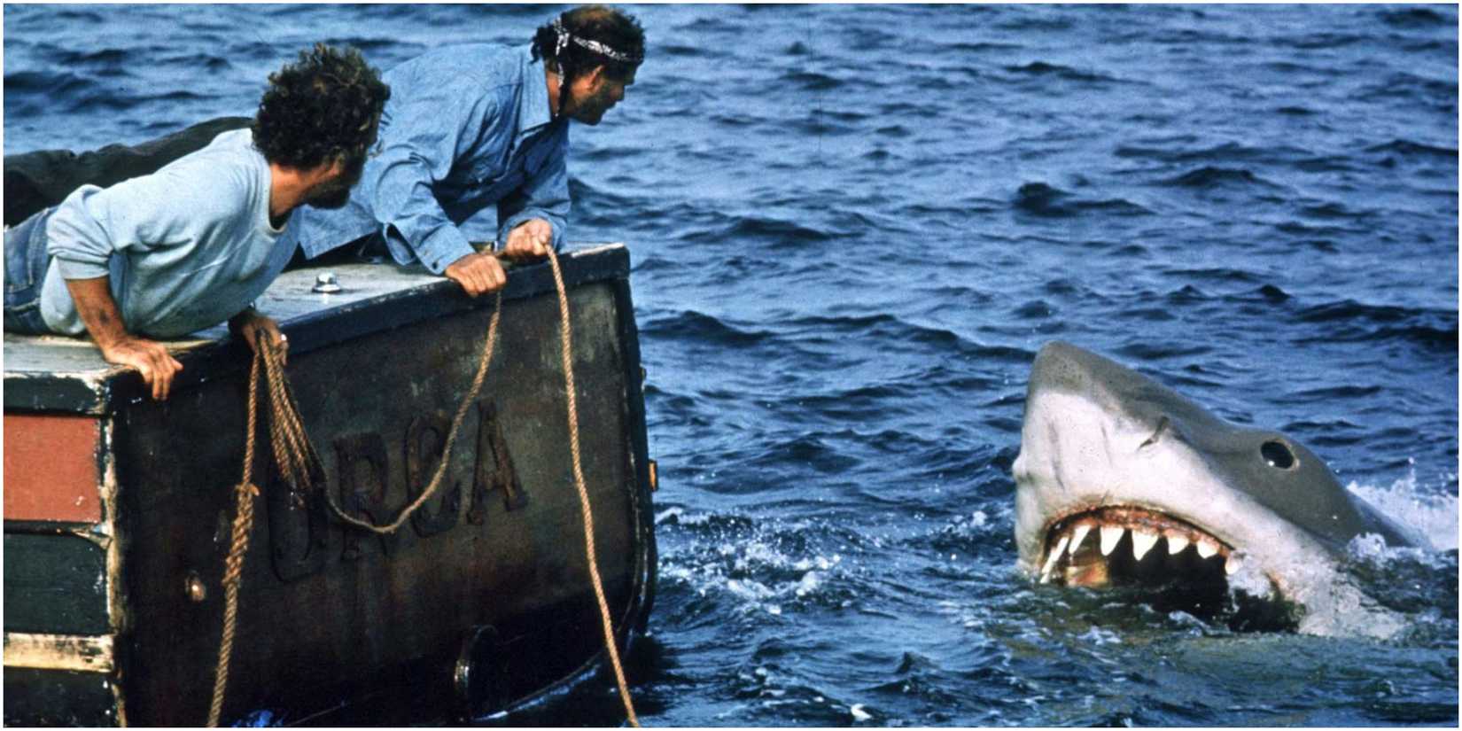 New Jaws Movie's 13 Most Shocking Reveals