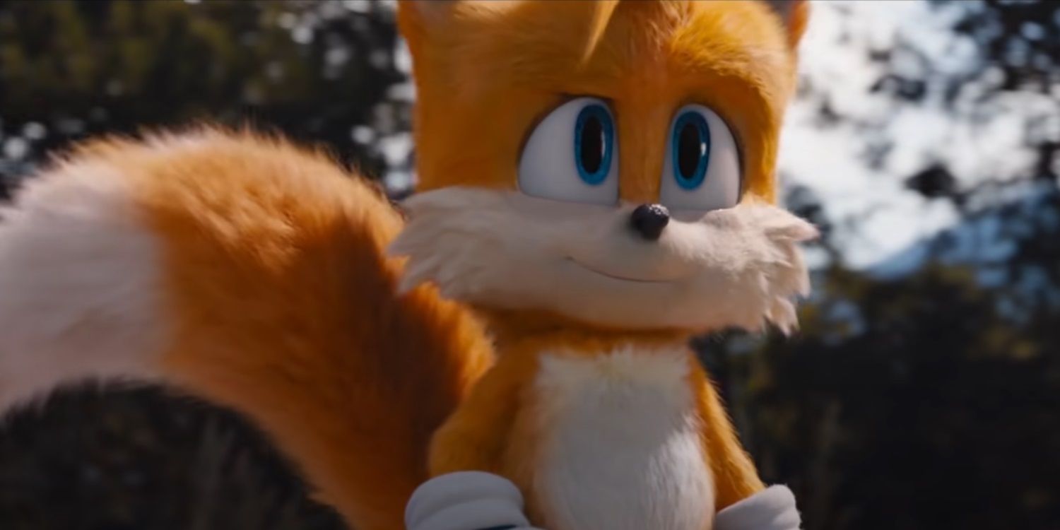 Every Video Game Character In The Sonic The Hedgehog Movies