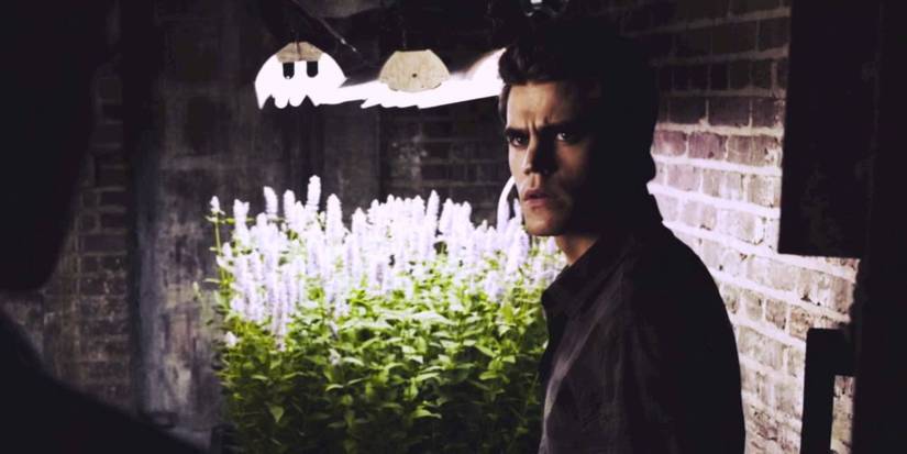 The Vampire Diaries: 10 Ways The Vampires Are Different From ...