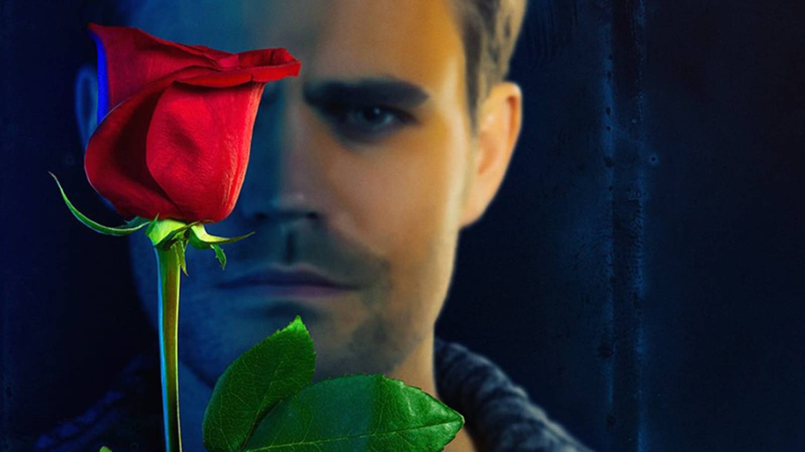 Tell Me A Story: The 10 Best Episodes, According To IMDb