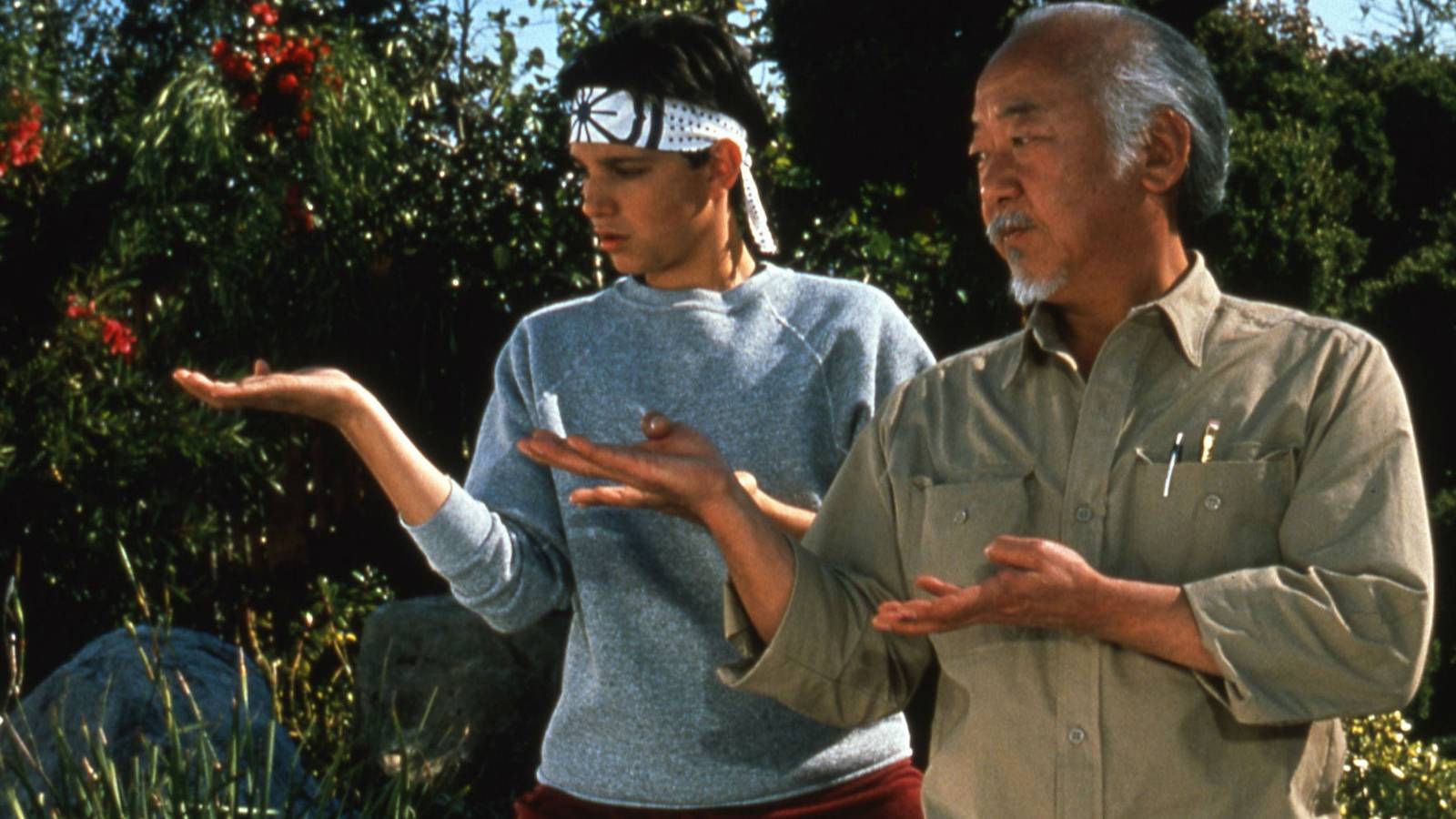 The Karate Kid (1984) Cast & Character Guide