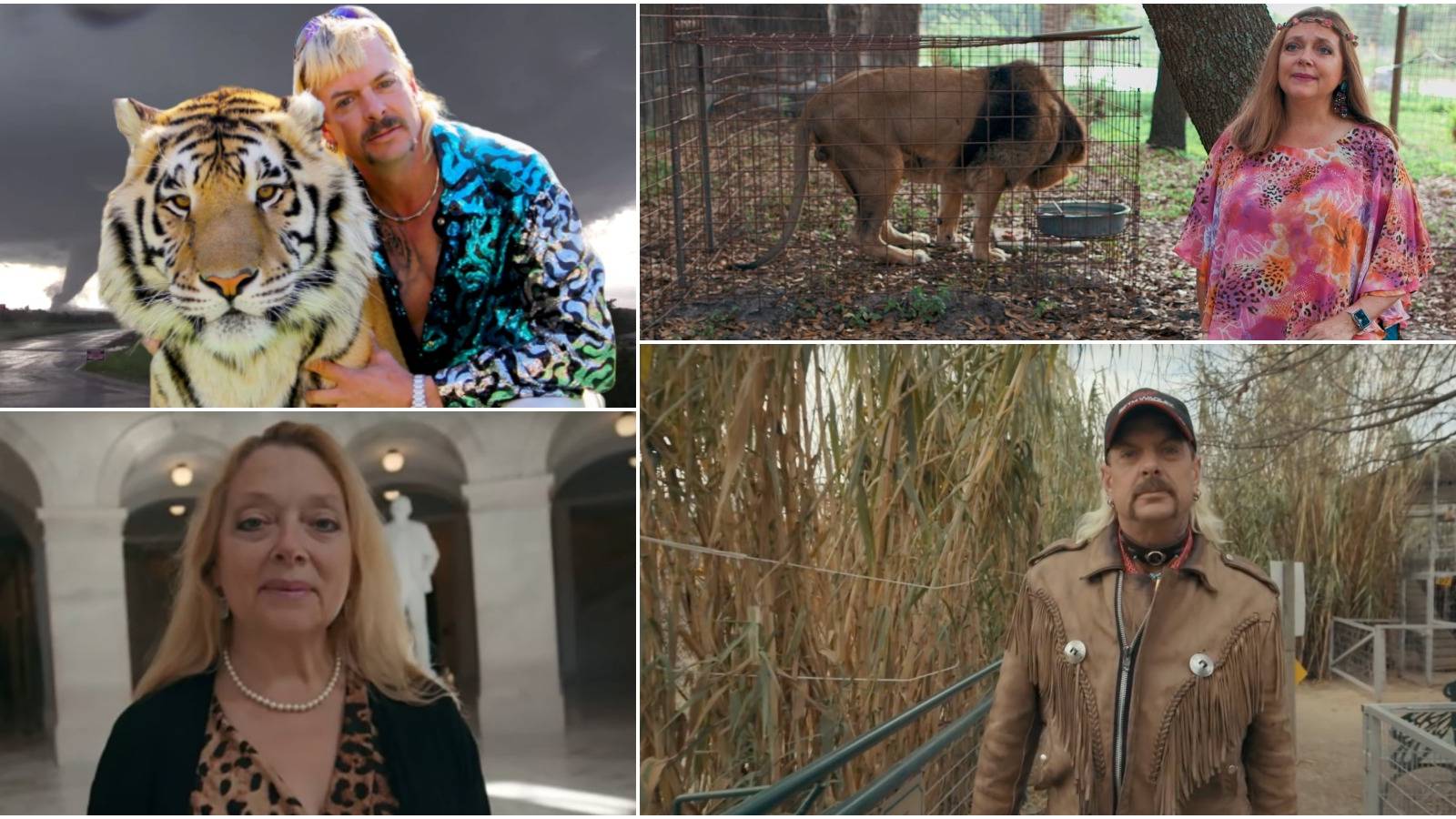 Tiger King: 15 Of The Best Quotes From The Documentary Series