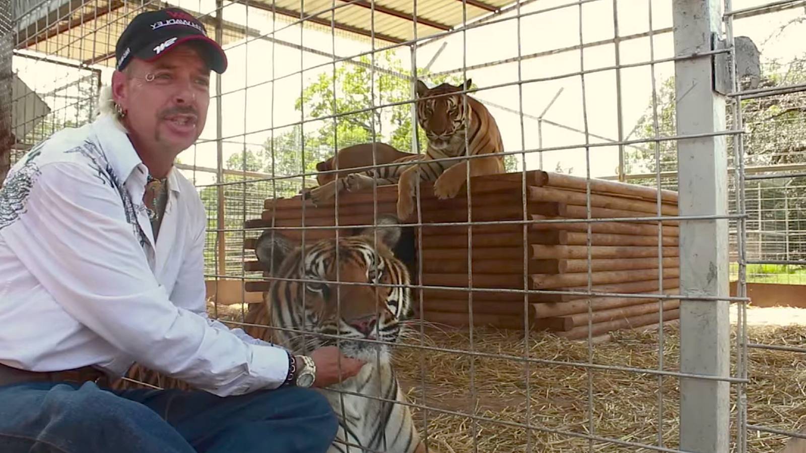 Netflix's Tiger King: 15 Best Joe Exotic Quotes