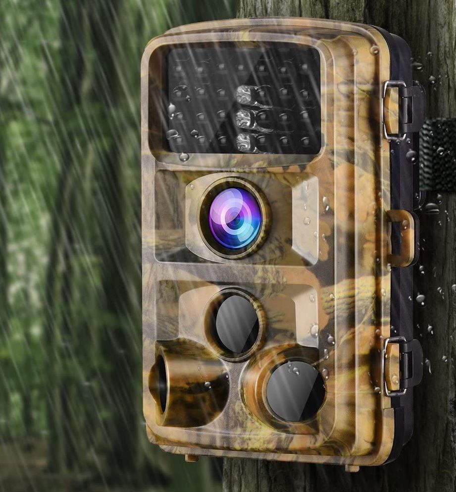 Best Trail Cameras (Updated 2020)