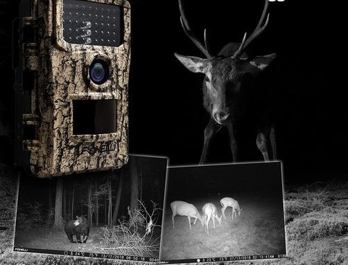 Best Trail Cameras (Updated 2020)