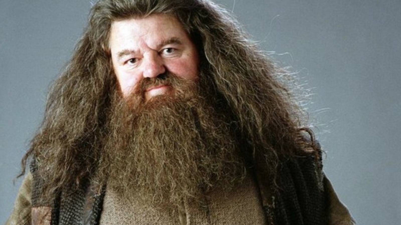 Harry Potter: Hagrid's 10 Best Quotes, Ranked