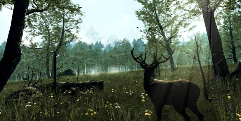 Oculus Quest: 20 Awesome Things You Didn't Know You Could Do With Your ...