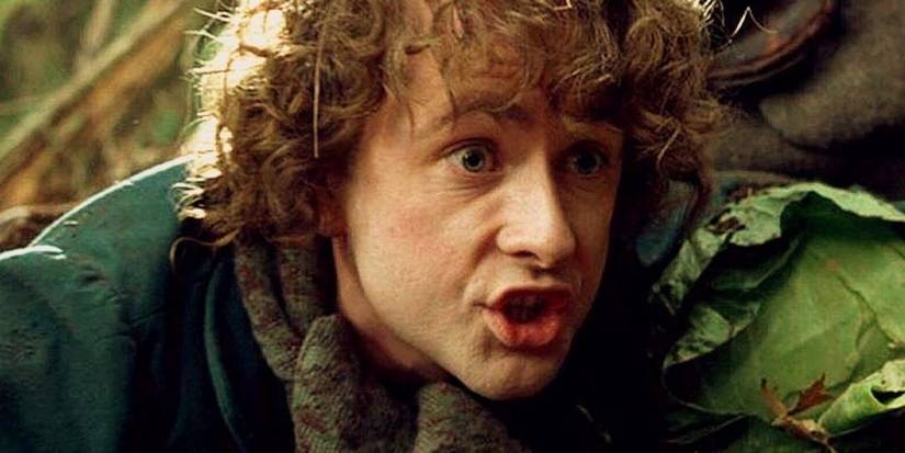 Lord Of The Rings: 10 Ways Pippin Got Worse & Worse