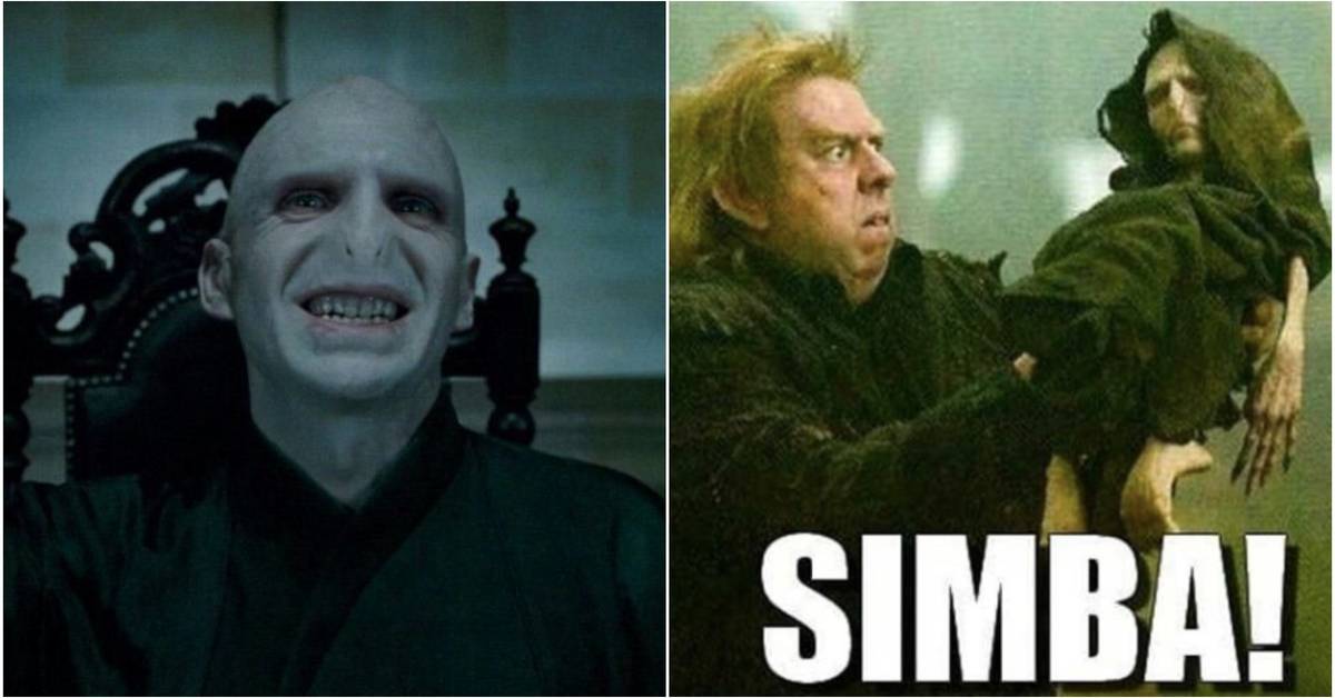 Pitbull Voldemort Memes 12+ Pitbull Dog Memes Factory Memes