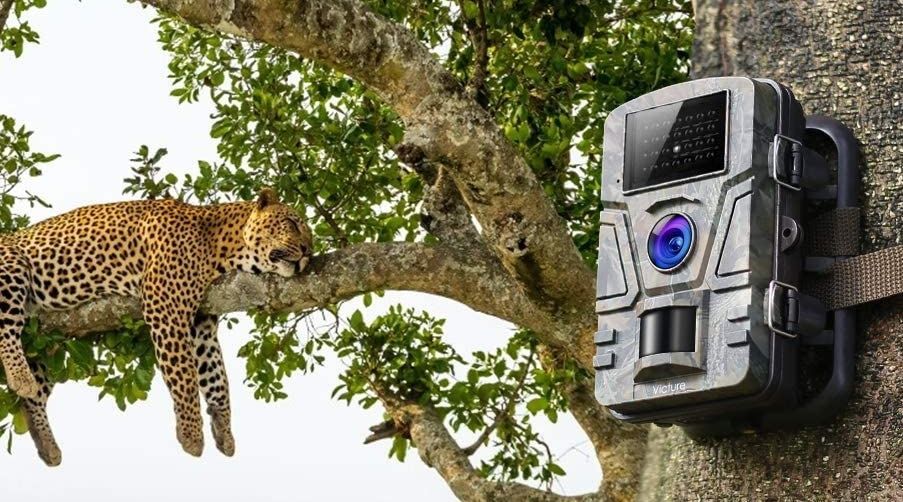 Best Trail Cameras (Updated 2020)